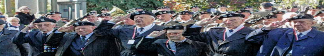 De Divisie - Maczek Pantser Soldaten